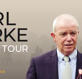 Karl Burke Stable Tour including Fallen Angel and Liberty Lane