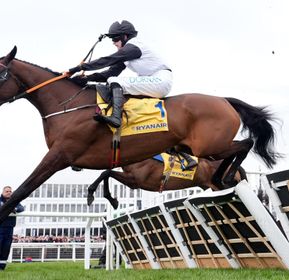 Henry De Bromhead on Cheltenham Festival team including Air Of ...