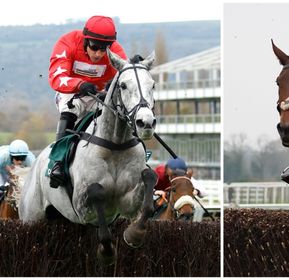 Saturday racing preview: David Ord sets the scene