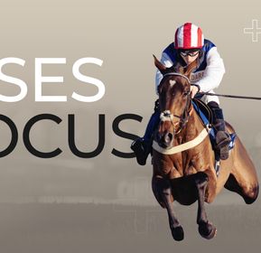 Horses In Focus tips for Tuesday: Eye-catchers chosen by Timeform experts