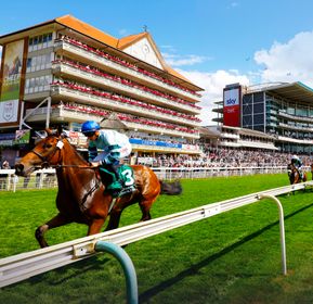 Racing TV offer: Watch channel for just £9.99 per month