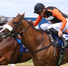 Horses to follow from the Mick Appleby yard including Big Evs and Annaf