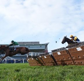 Trackside Live: Horses to Follow from the DRF and Musselburgh