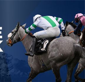 Saturday racing preview: What the trainers say