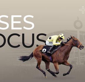 Horses In Focus tips for Thursday: Eye-catchers chosen by Timeform experts