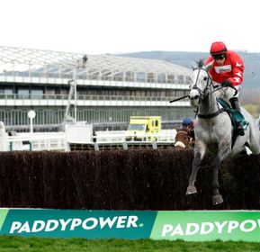 Graham Cunningham's Festival File Part Six | Horses to note and ones ...