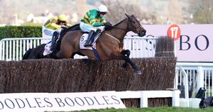 Intense Raffles new Grand National favourite as Inothewayurthinkin ...