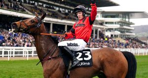 Lucinda Russell & Michael Scudamore Stable Tour: 2025/26 National Hunt ...