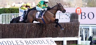 Intense Raffles new Grand National favourite as Inothewayurthinkin ...