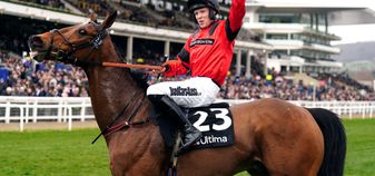 Lucinda Russell & Michael Scudamore Stable Tour: 2025/26 National Hunt ...