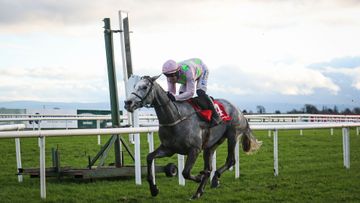 Dublin Racing Festival preview and tips: Expert panel on the Leopardstown action