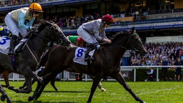 Expert Panel: Weekend Racing | Tips for the Scottish National at Ayr ...