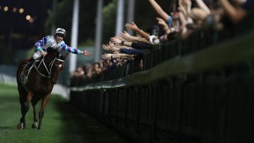 Free betting tips for Happy Valley | The Hong Kong File