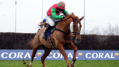 Dan Skelton Stable Tour: 2024/25 National Hunt Season Preview