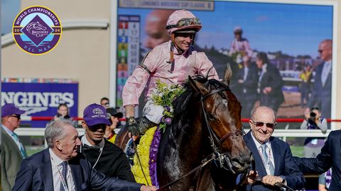 Breeders' Cup Classic reaction as Sierra Leone wins and City Of Troy ...