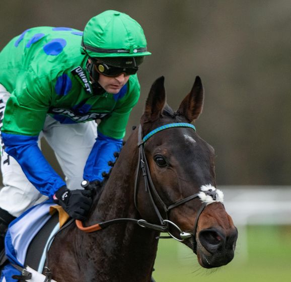 Supreme favourite Old Park Star heads Timeform's novice hurdle ratings