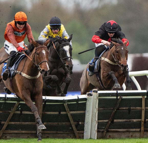 Trackside: Horses to follow including West Hill Verde and Clondaw Park