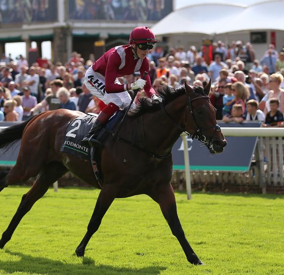 Ebor Festival Guide: Tips, videos, dress code, Sky Bet odds and ...