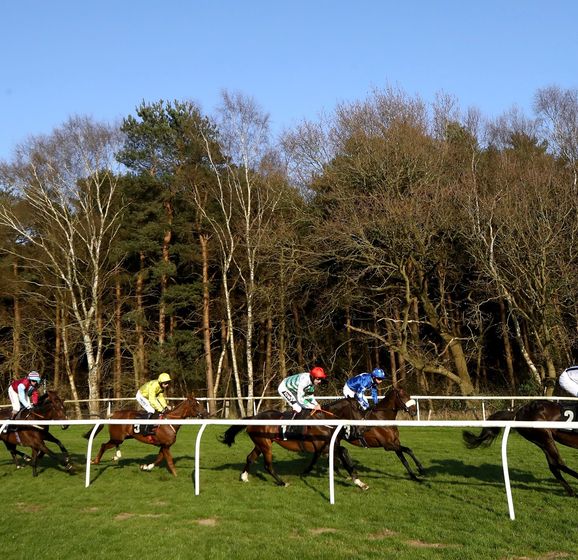 Unibet Summer Plate: Mickey Bowen to be double handed