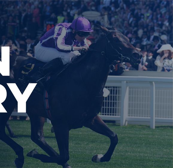 Cork tips today: Fran Berry's Irish racing preview