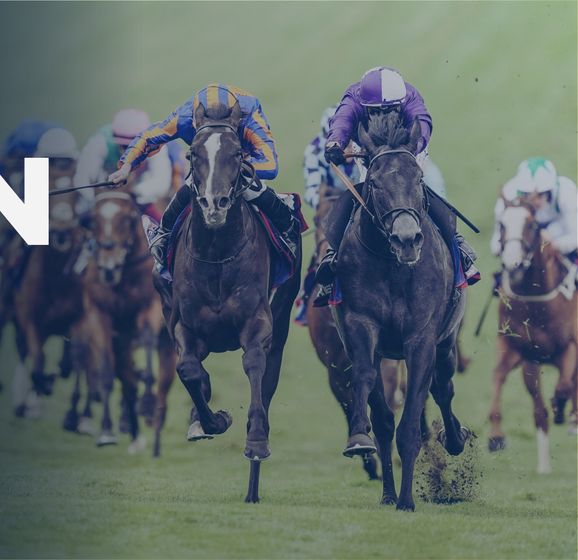 Free Racing Tips for Saturday July 19 including Summer Plate at Market ...