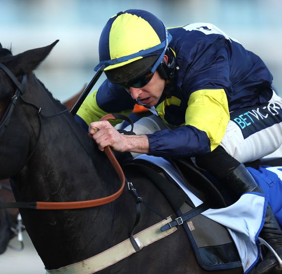 Coral John Francome Novices' Chase report and replay: Wendigo claims prize