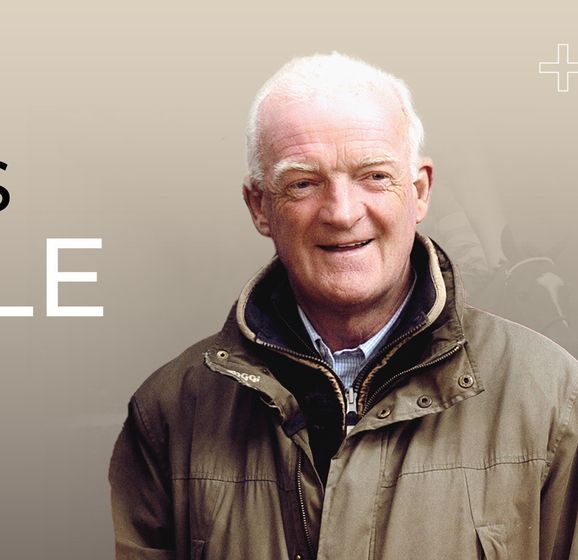 Cheltenham Festival 2026: Stable Tours including Willie Mullins, Gordon ...