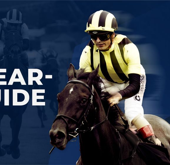 Dan Briden Two-Year-Old Guide: Charlie Clover & Jack Morland