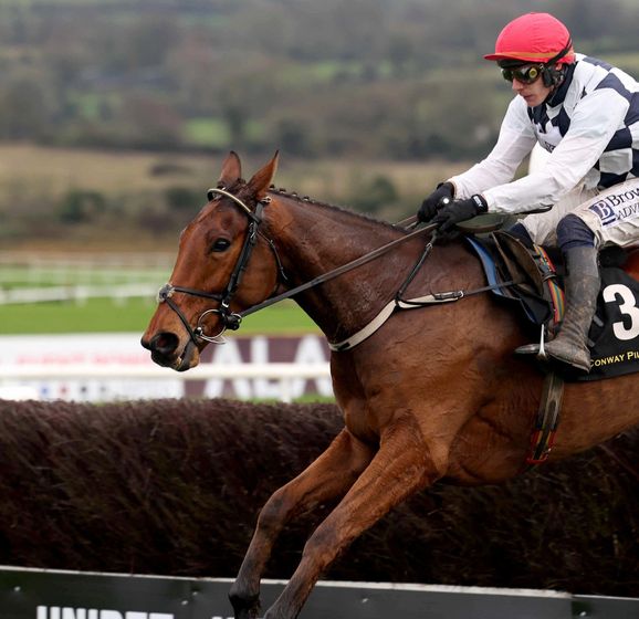 Timeform ratings analysis | Cheltenham Festival contender Ballyburn