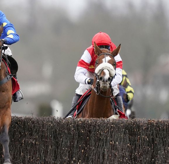 Dan Skelton – Ladbrokes Trophy ‘massively tempting’ for Shan Blue