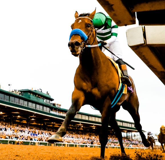 Why Flightline needs to hit the ground running in his stallion career