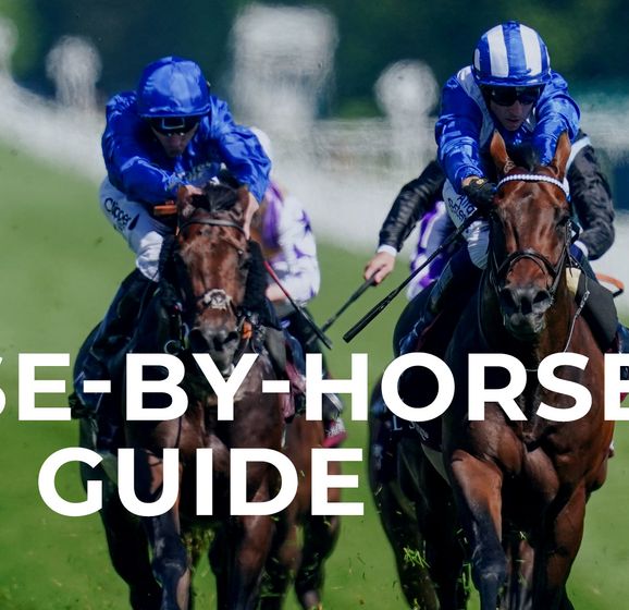 Lockinge Stakes tips: Horse by horse guide and Value Bet shortlist for ...