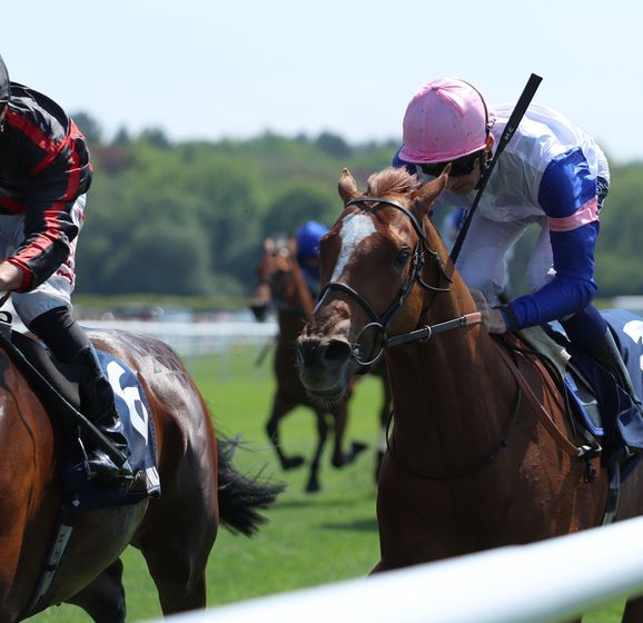 Betfred Derby Festival gallops morning | Ralph Beckett aims Bay Of ...