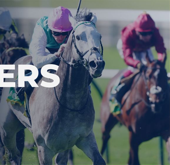 Newmarket Sunday Blog: Includes paddock updates and results