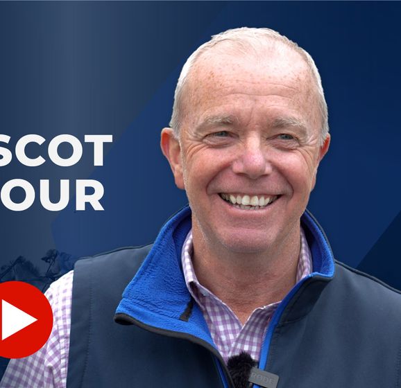Karl Burke Royal Ascot stable tour 2024 including Fallen Angel, Elite ...
