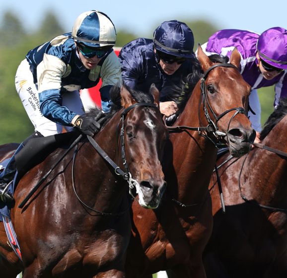 The Derby trials are over and Aidan O’Brien has unearthed several ...