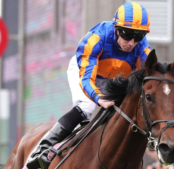 Coral-Eclipse 2026 latest | Aidan O'Brien to run both Constitution ...
