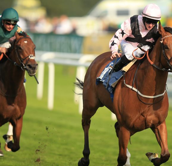 Dan Briden Two-Year-Old Guide: Charlie Johnston