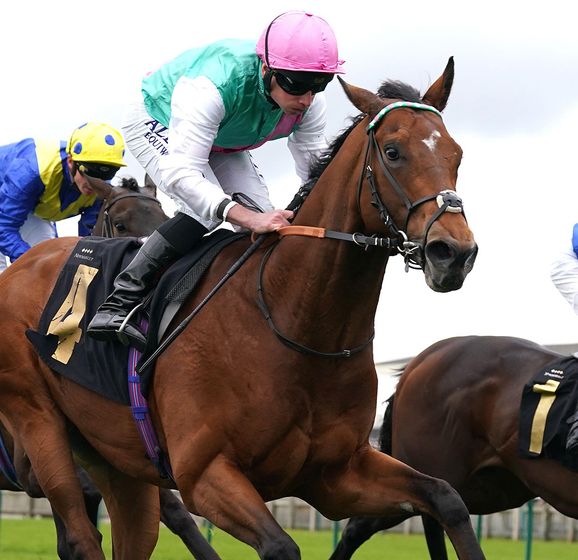 Horses To Follow: Three improvers with the Timeform Large P