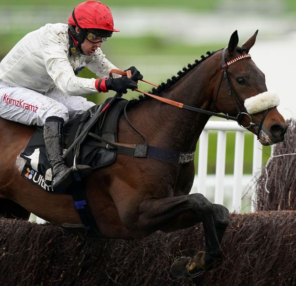 Kim Bailey seeking future pointers from Chianti Classico at Cheltenham