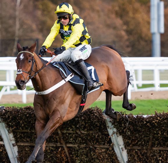 David Ord on the desperate search for live Champion Hurdle contenders