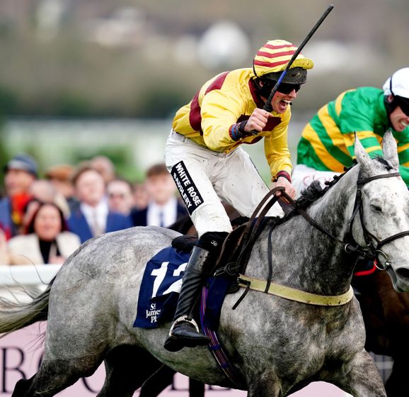 Sine Nomine named Yorkshire Horse of the Year