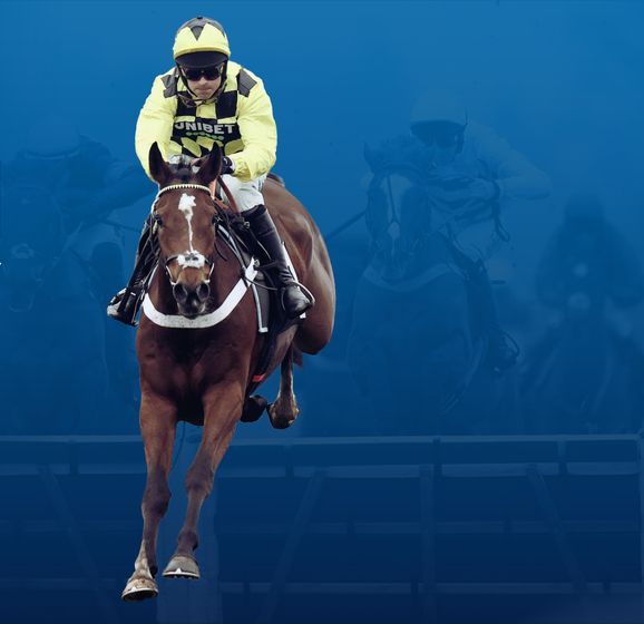 Timeform Daily View | Monday preview and tips