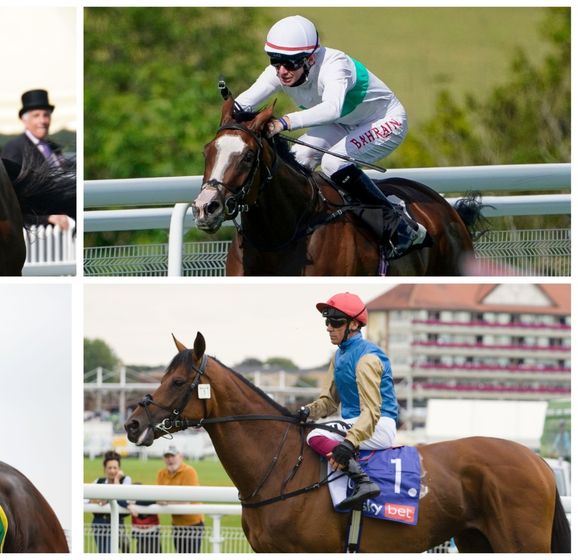 John & Thady Gosden Stable Tour including Emily Upjohn, Inspiral and ...