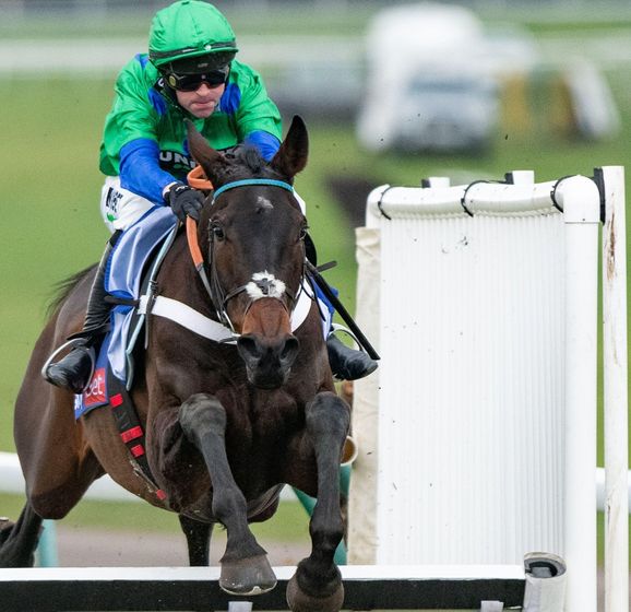 How the novices stack up on Timeform ratings ahead of the Cheltenham ...