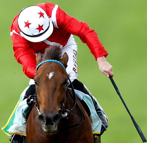 Timeform's Horses To Follow for the 2024 Flat season: Shuwari