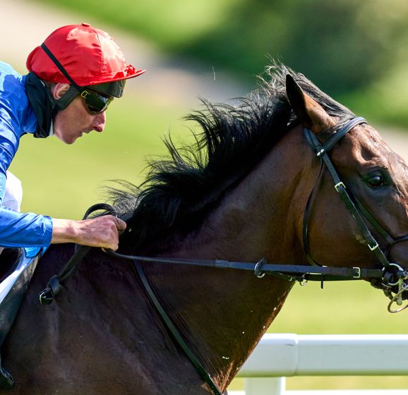 Adam Kirby taking break but hopes to return to saddle next year