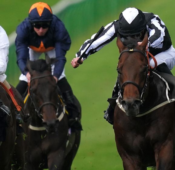 Charlie Johnston stable tour including Dubai Mile, Subjectivist and ...