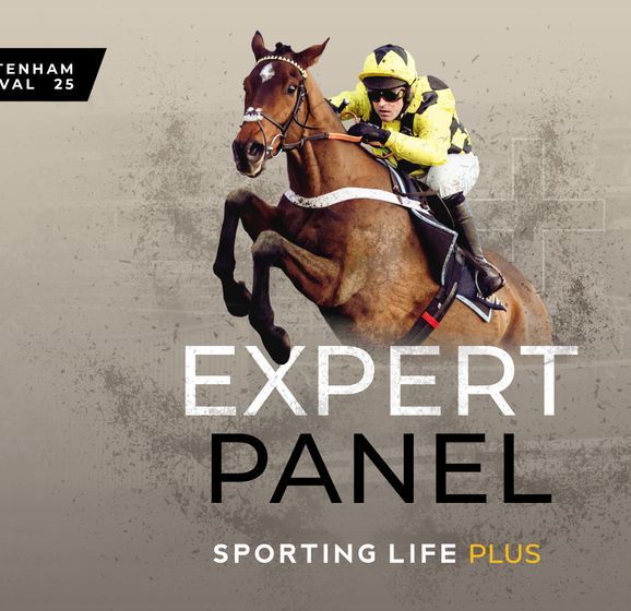 Martin Dixon with his fancy for the Boodles Fred Winter at Cheltenham