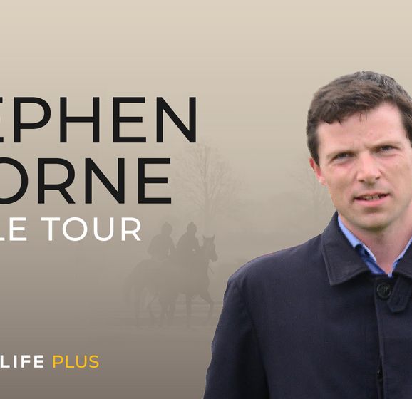 Stephen Thorne Stable Tour: Guide to his 2025 team